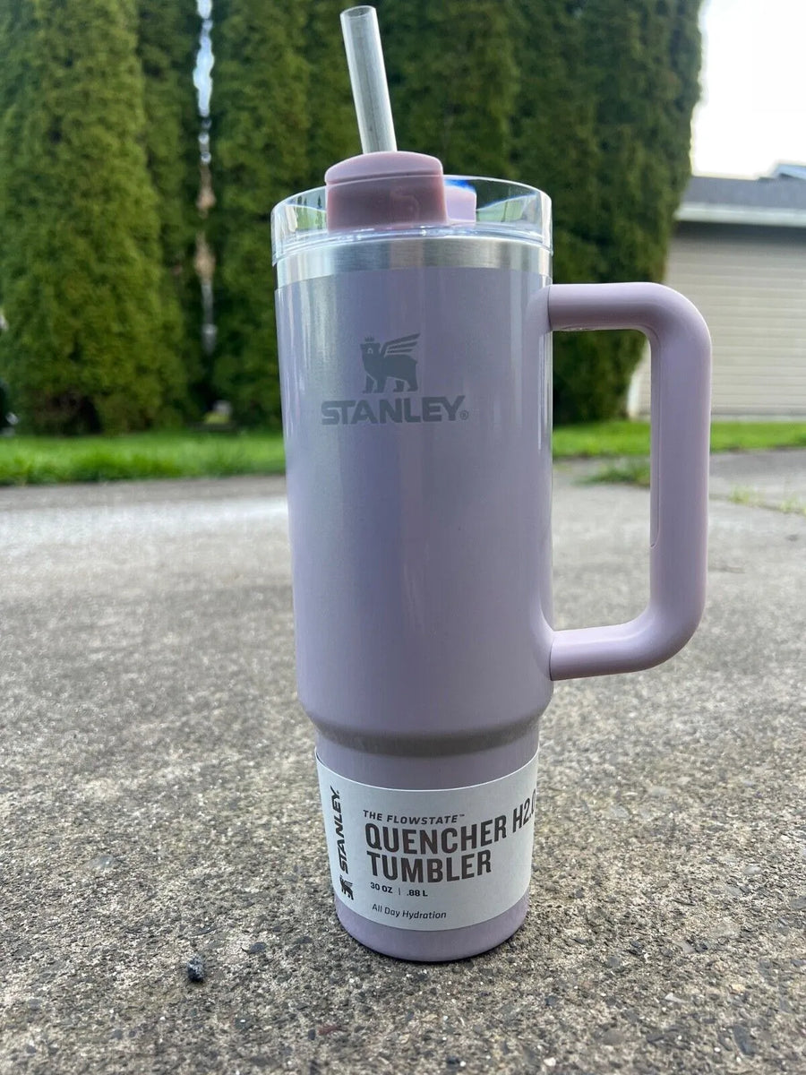 Stanley 30 Oz Stainless Steel H2.0 Flowstate Quencher Tumbler Aster – REBEL