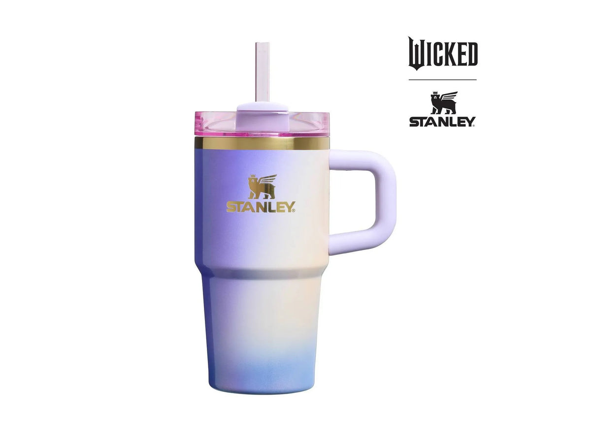 Stanley 20 oz Stainless Steel H2.0 FlowState Quencher Tumbler – REBEL