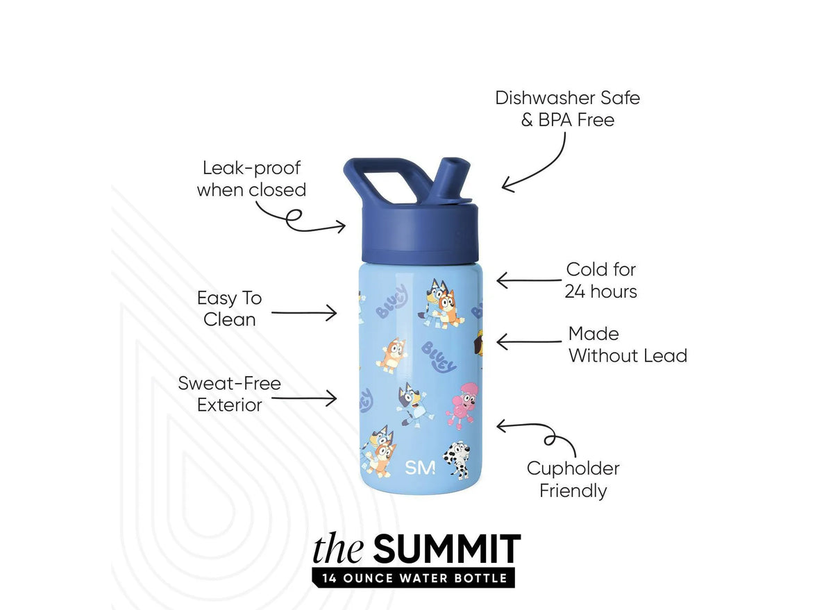 Simple Modern Summit Water Bottle with Straw Lid - Light Blue – REBEL