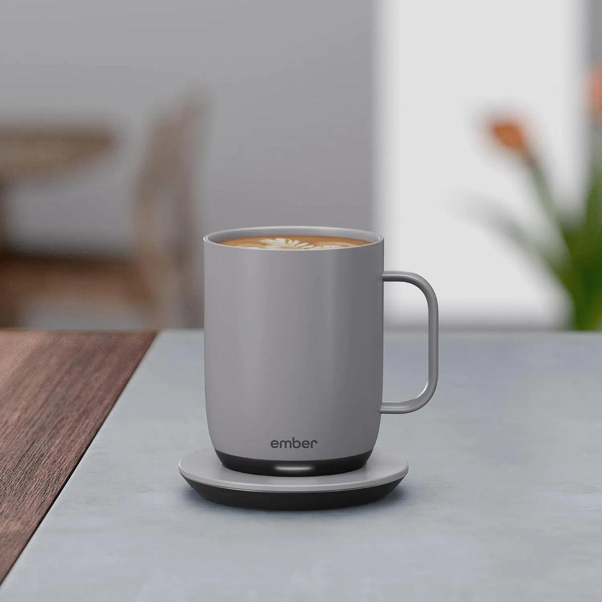 Ember 14 oz Mug Set - Gray – REBEL