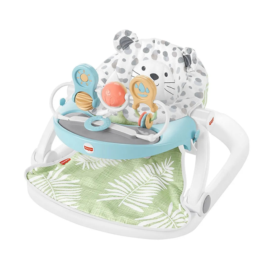 Fisher-Price Infant Seat with Toy Bar and Musical Kick & Play Gym ...